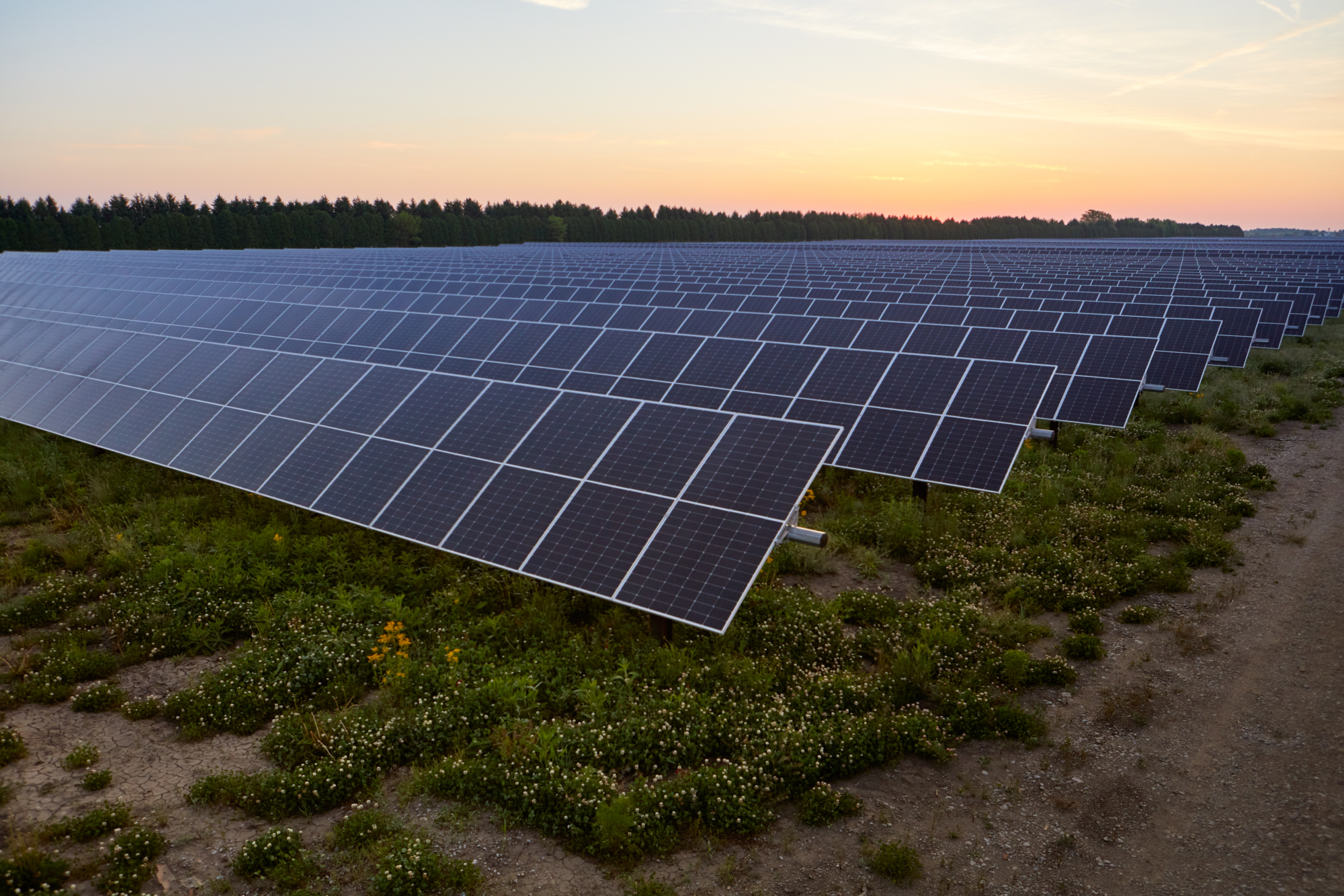EDF Renewables North America and Enbridge Celebrate Completion of Fox ...