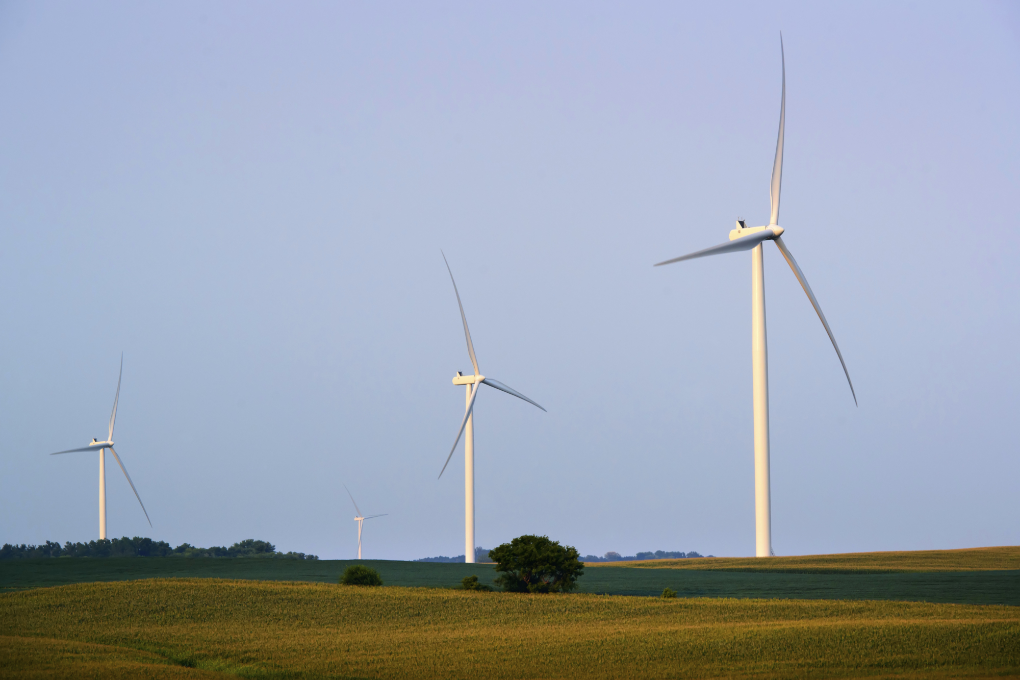 Red Pine Wind | EDF Renewables