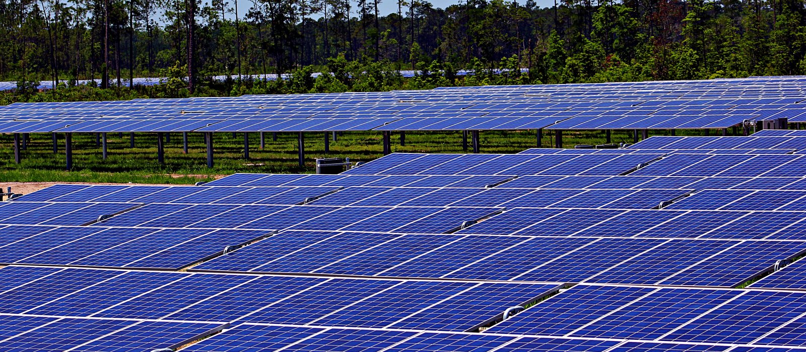 Jacksonville Solar | EDF Renewables