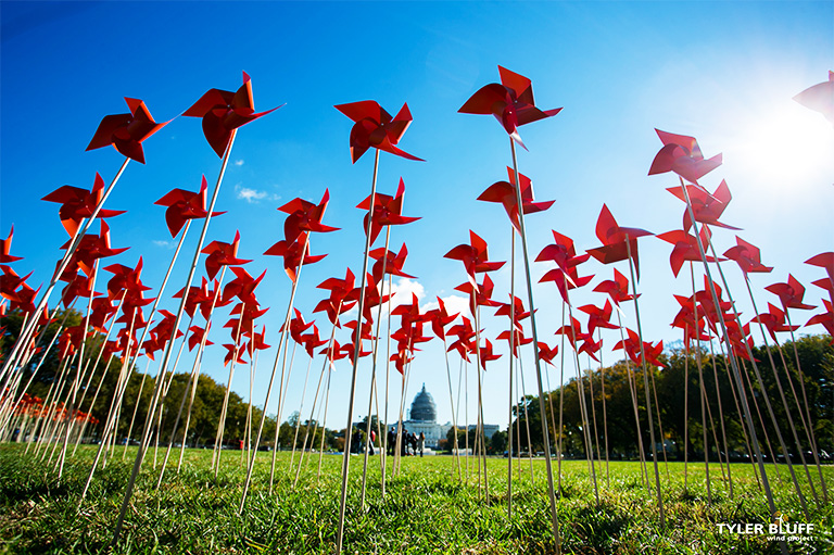 Procter & Gamble Plants Use Clean Electricity of Tyler Bluff Wind Farm